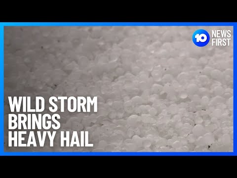 Wild Storm Hits South | 10 News First