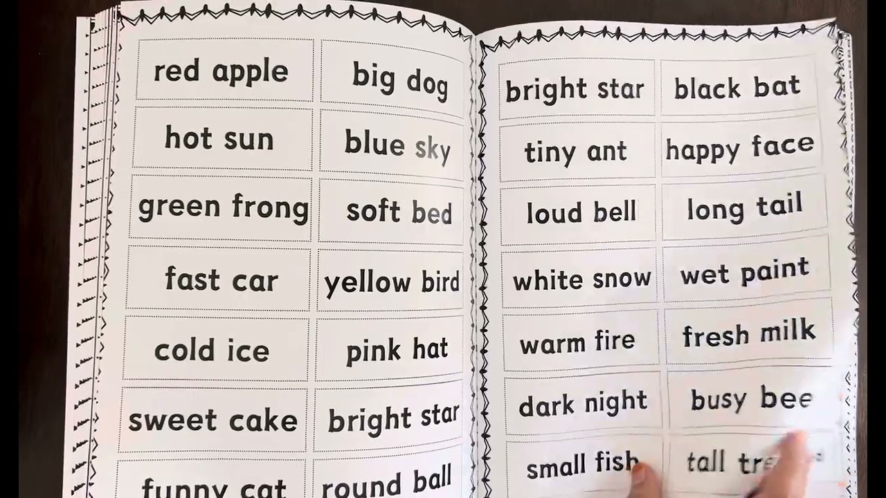 Reading Mastery. A comprehensive reading guide for kids.