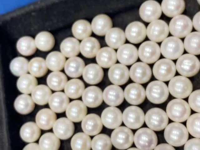 Pearl Stone - KC White Pearls Trader - Retailer from Jaipur