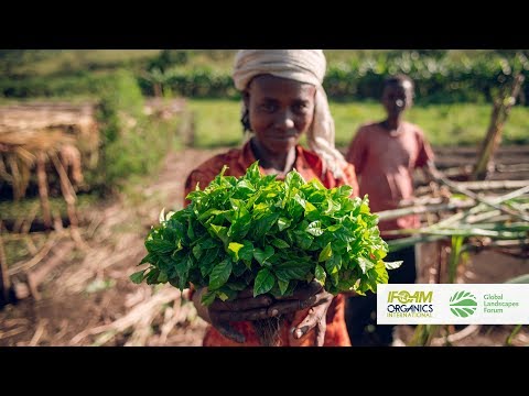 What is organic agriculture?