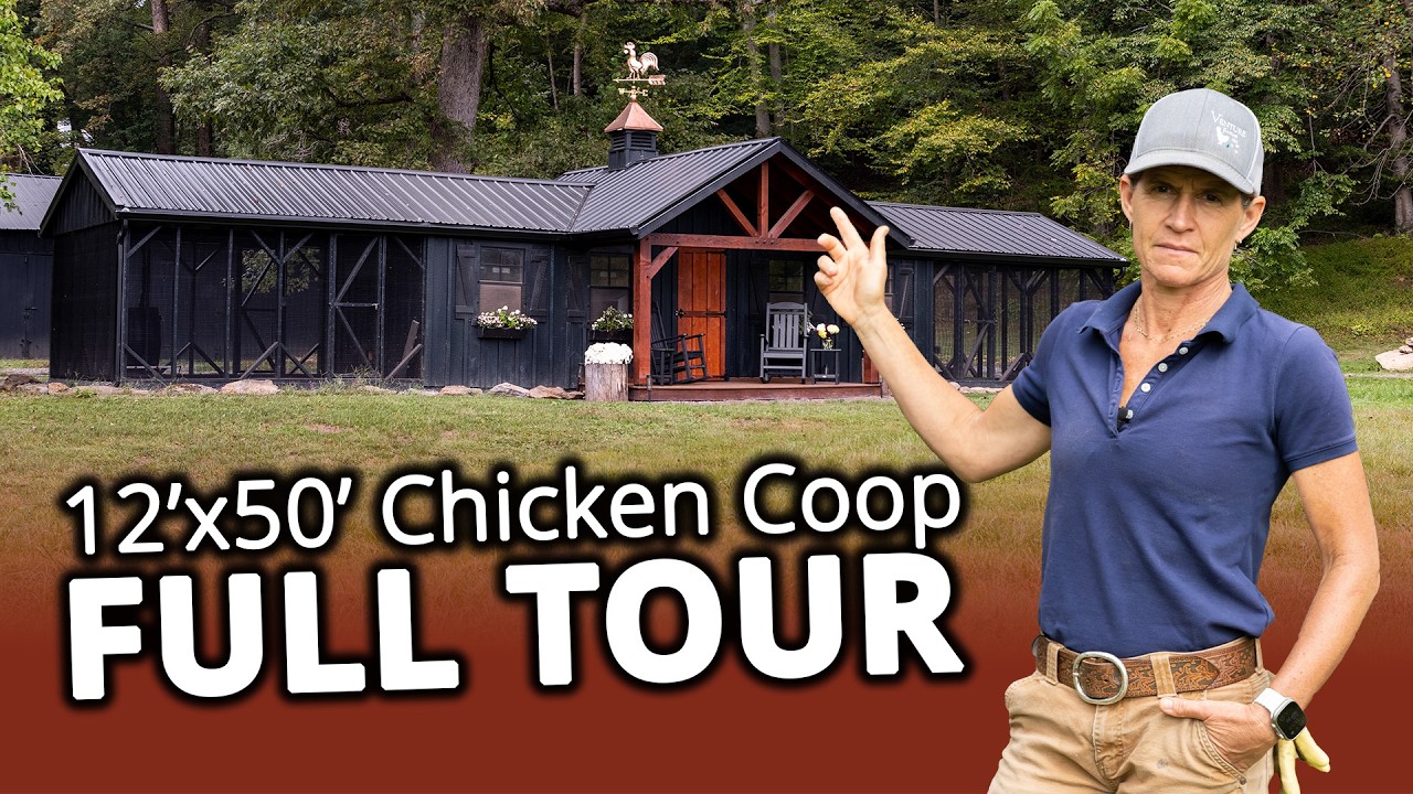You’ve Never Seen a Chicken Coop Like This! | The Hen House Collection