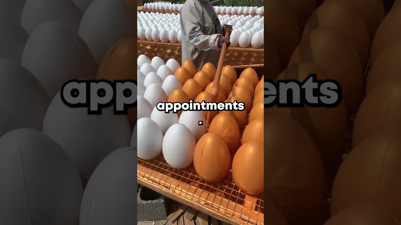 My new dentist pulled up my X-rays and asked, 