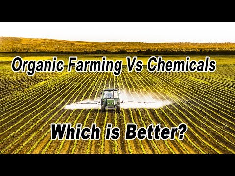 Can We Grow As Effectively With Organic Farming Or Do We Need Chemicals?