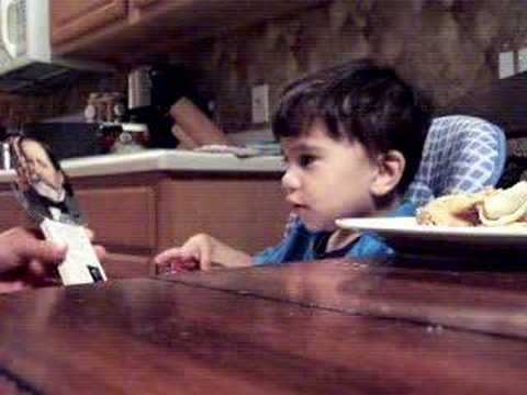 Investigating Fandex Family Field Guides Trees | orchestraglyceryls