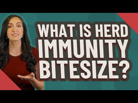 What is herd immunity Bitesize?