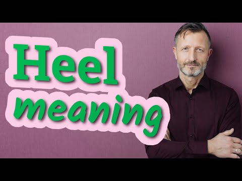Heel | Meaning of heel