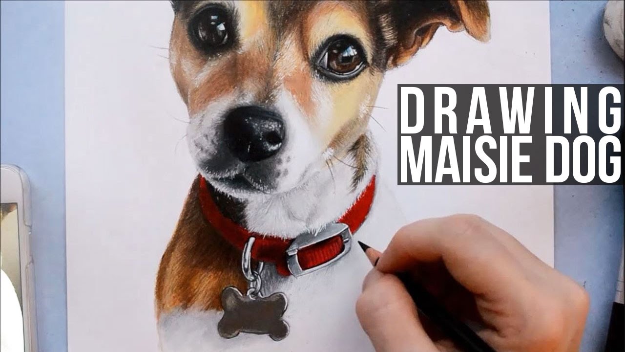 Speed Drawing Jack Russel Terrier Dog Portrait