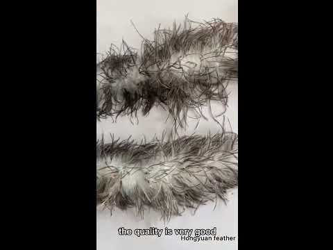 ostrich feather boa dyed tip