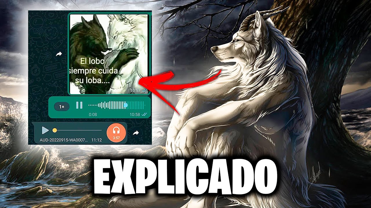 EL LOBO SIEMPRE CUIDA A SU LOBA Explicado