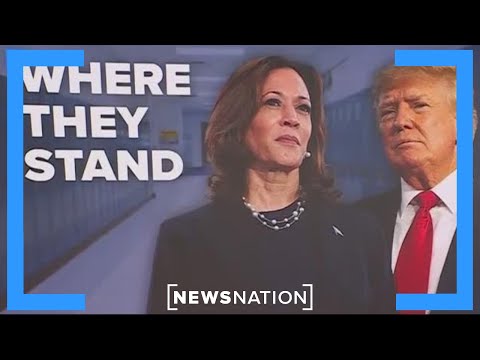 Where Trump and Harris stand on school safety, police presence | The Hill