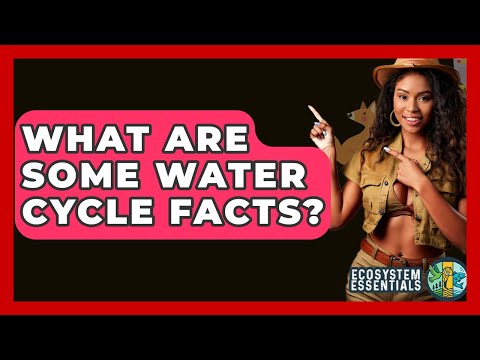 What Are Some Water Cycle Facts? - Ecosystem Essentials
