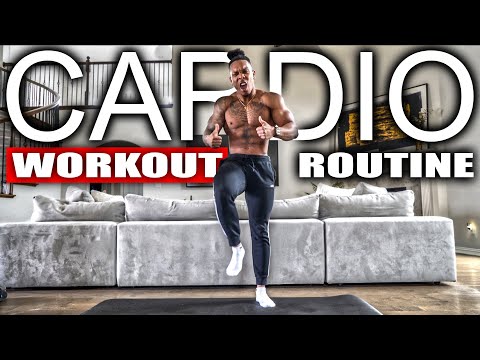15 MINUTE LOW IMPACT FAT BURNING CARDIO WORKOUT(NO EQUIPMENT)