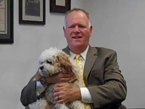 Pet Trusts: Providing for pets in your estate plan