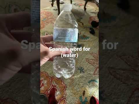 Water In Spanish