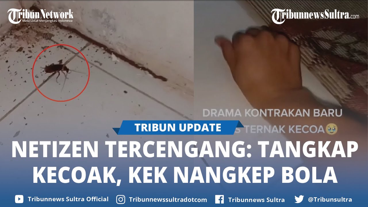 YouTube Video Thumbnail Viewer and Download - ThumbnailSave.com