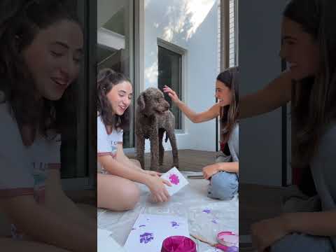 paw print paintings ๐พ #dogs #goldenretriever