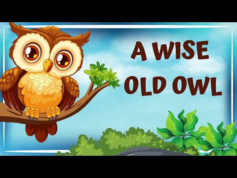 A Wise Old Owl Story | Moral Story for Kids | English Story | Bedtime Story for Kids