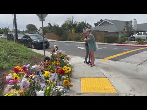 Deadly e-bike crashes in San Diego call for a push in more bicycle education and road safety