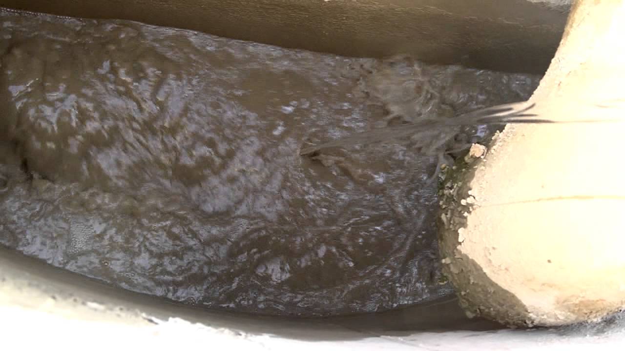 Mine Process Overview: Thickening and Pressing