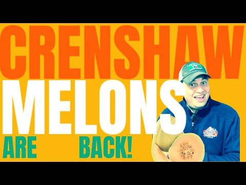 Crenshaw Melons 101 [Chefs' Produce Co] Market Update