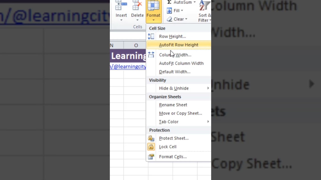 Set Column Width & Row Height in Excel #excel #customsetting