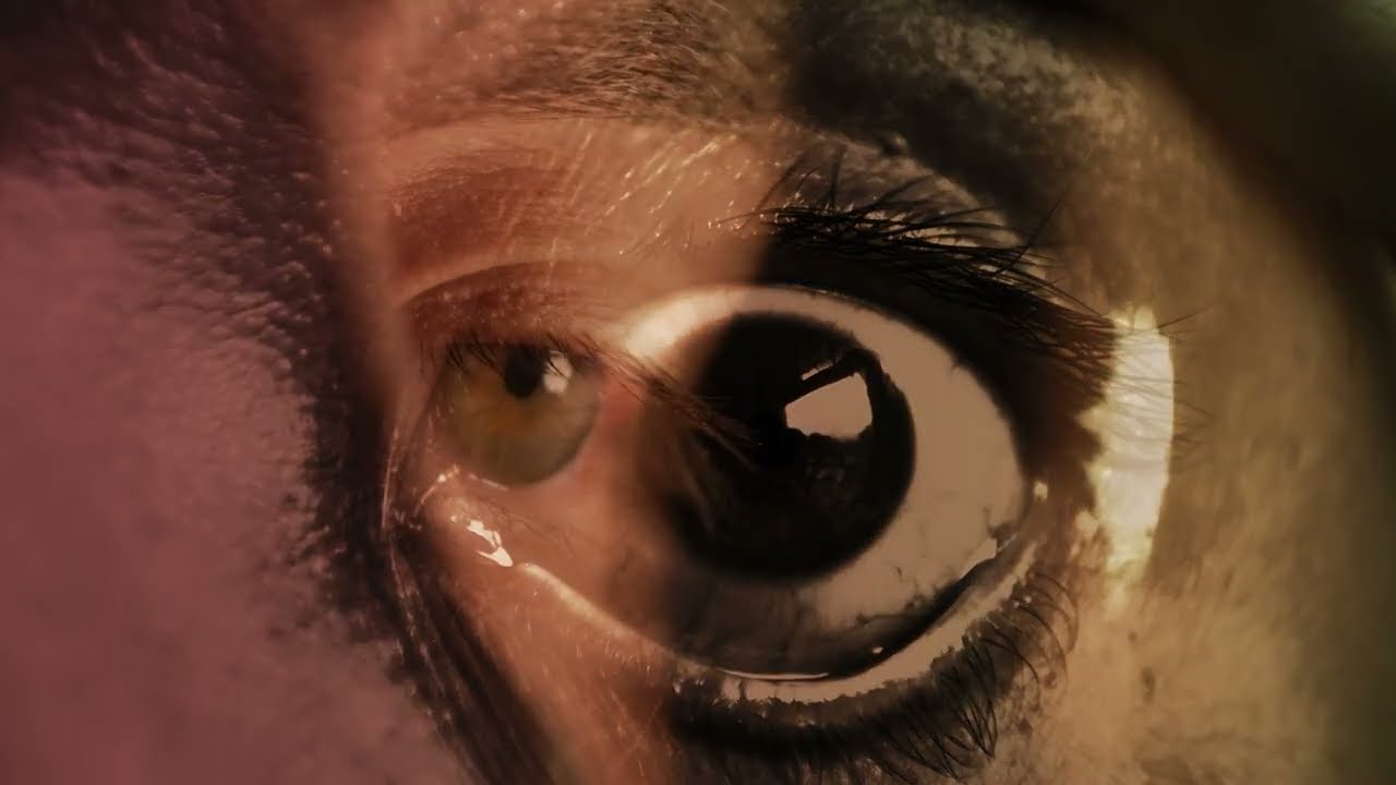 CHAINREACTOR - Pain Has A Face (Official Music Video)