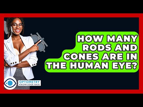 How Many Rods And Cones Are In The Human Eye? - Optometry Knowledge Base