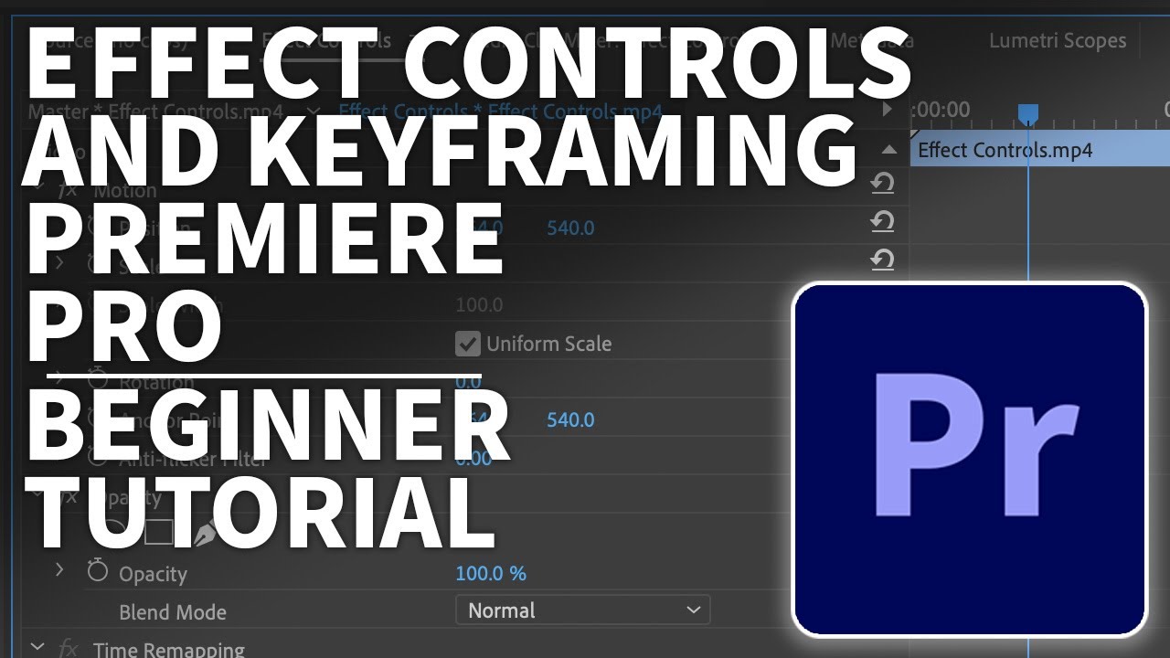 Keyframing and the Effect Controls Panel in Premiere Pro | Beginner Tutorial
