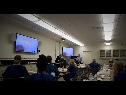 Laboratory Animal Science Overview