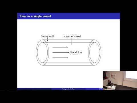Going with the flow: Why fluid dynamics are important for understanding how the body works