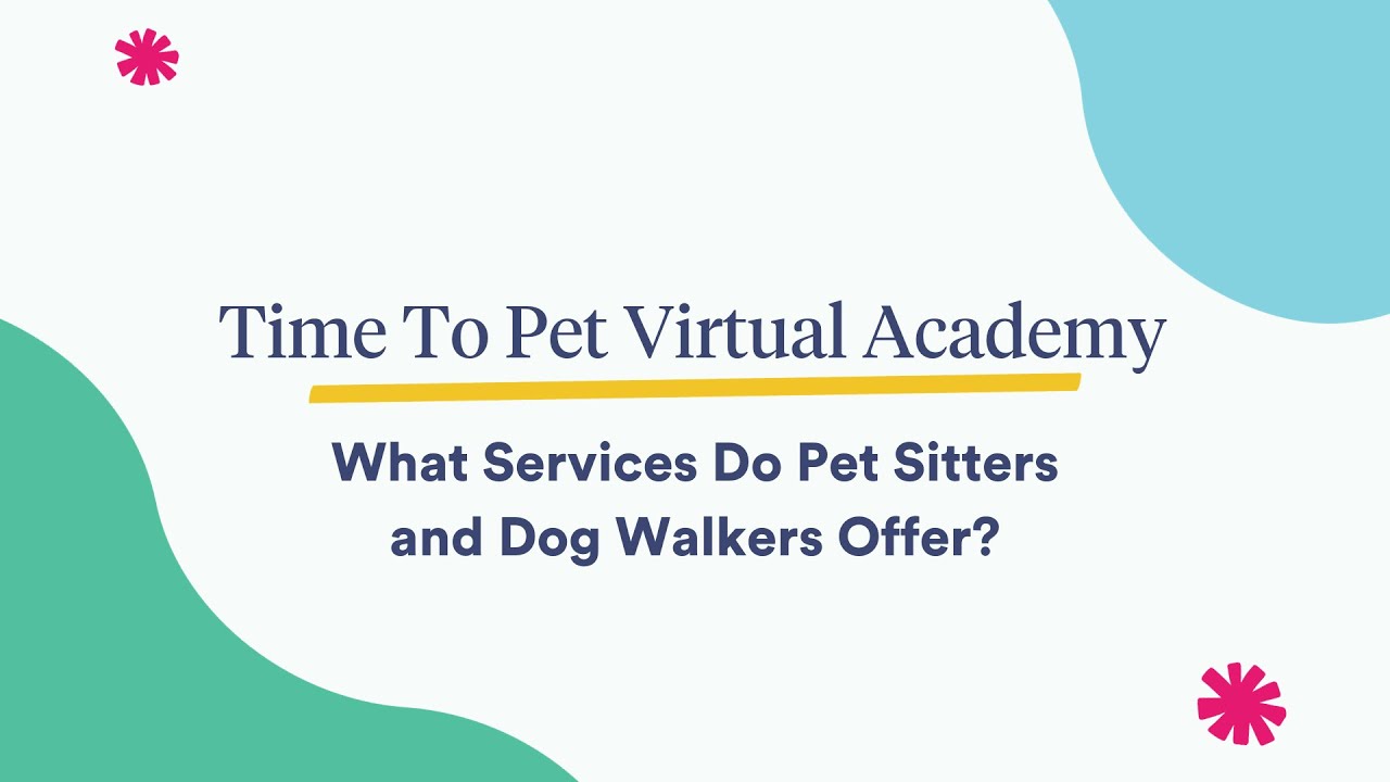 What Services Do Pet Sitters and Dog Walkers Offer?