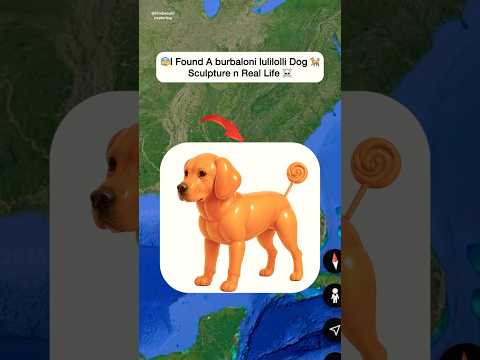 I Found A burbaloni lulilolli Dog ๐ on google earth and google maps ๐! #shorts #findwouldexploring