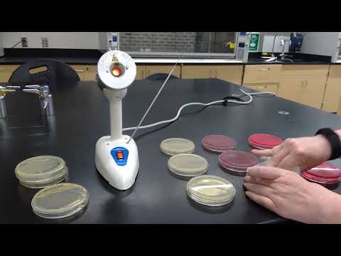 BI 234 Selective and Differential Media pt 1