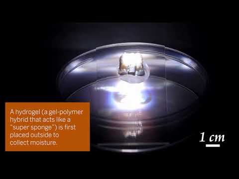 Solar-Powered Hydrogel Collects Clean Water Out of Thin Air
