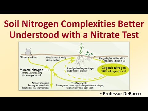 Soil Nitrogen Complexities Better Understood with a Nitrate Test