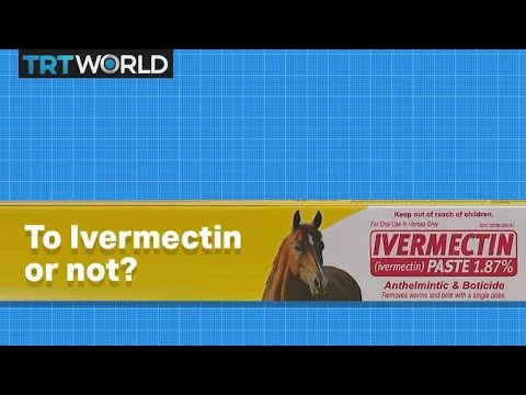6 things to know about Ivermectin