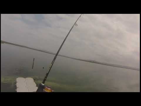 Tiger fish at jozini on sensation power plus finesse and okuma RTX