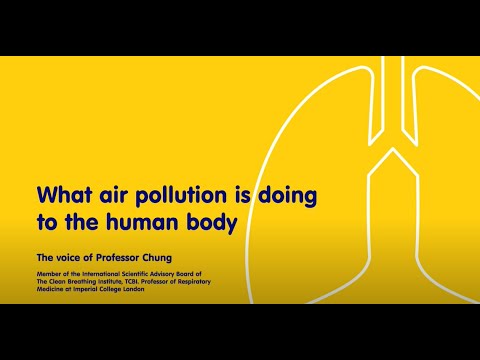What air pollution is doing to the human body