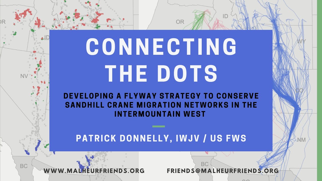 Connecting the Dots; Developing a Flyway Strategy to Conserve Sandhill Crane Migration Networks