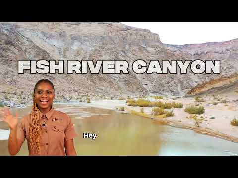 What’s the best way to purify water in the canyon right now?