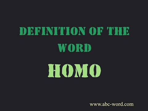 Definition of the word "Homo"