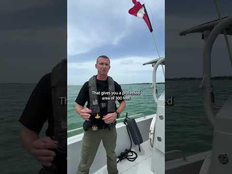Where to put a dive flag? #shorts