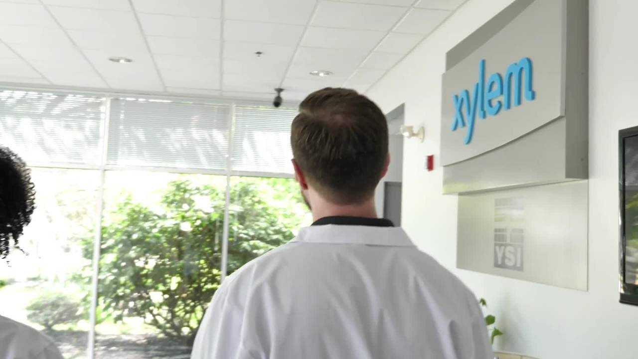 Xylem Lab Solutions