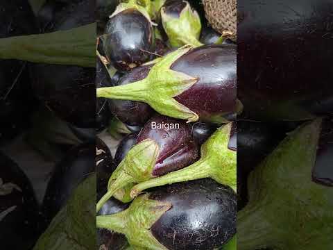 Baigan Ko English me kya kahte hain #short #viral #youtube
