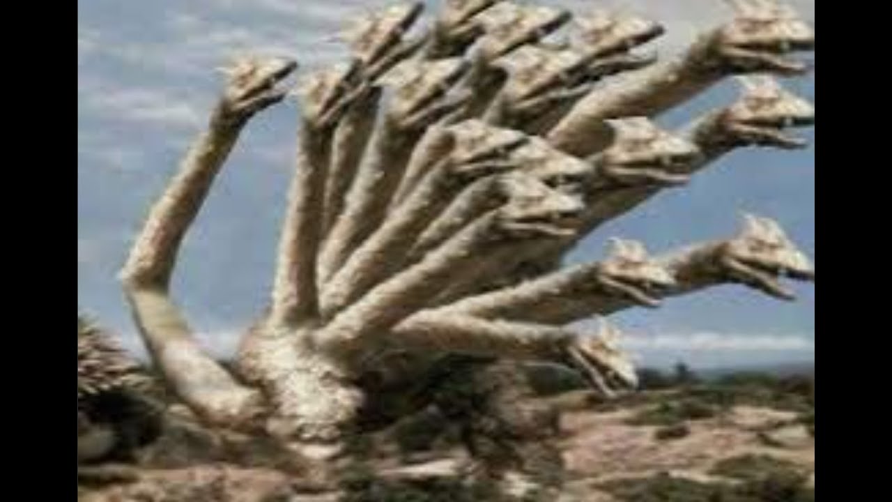 Random Godzilla Memes #3