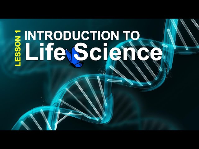Exploring the Origins of Life: An Introduction to Life Science | Galaxy.ai