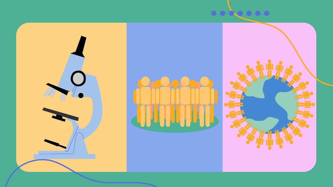 Biology Module 7 Infectious Disease