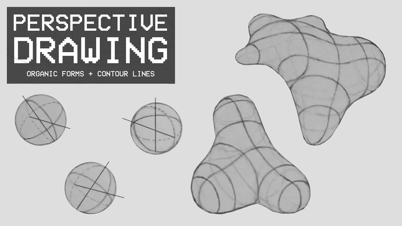 Perspective Drawing 21 - Organic Forms and Contour Lines