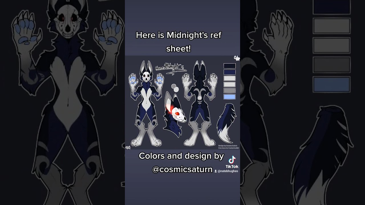 Midnight's Ref Sheet