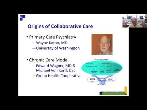 Webinar: Reflecting on 20 Years of Collaborative Care